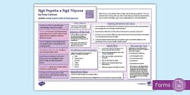 Level 4 School Journal The Lesson (teacher made) - Twinkl