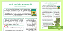 My Favourite Shell Worksheet / Worksheet