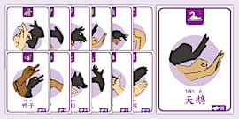 *Singapore Mandarin with Pinyin The Year Of Rabbit Spot The Difference*