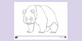 Baby Panda Colouring Sheet (teacher made) - Twinkl