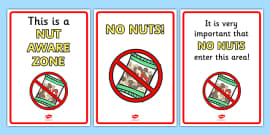 Editable Allergy Reminders Posters (teacher made)
