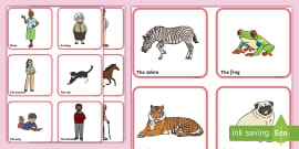 Rabbit Jumping Sentence Activity (teacher made) - Twinkl