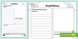 Axolotl Fact File Template, Axolotyl (Teacher-Made) - Twinkl