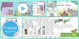 Silly Sentence Building Activity - silly sentence, sentence