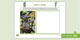 FREE! - Koala Drawing Prompt Activity (teacher made)