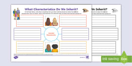 Inheritance Display Posters (teacher made) - Twinkl