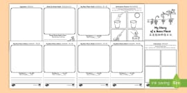 Plant Diary | Living Things | Primary Resources - Twinkl