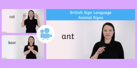What is BSL (British Sign Language)? | Twinkl Teaching Wiki