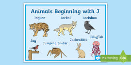 Water Adjectives Word Mat (Hecho por educadores) - Twinkl