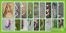 Nature-Themed Alphabet Display Posters (teacher made)