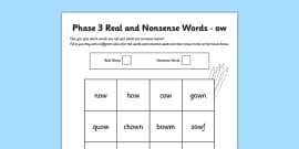 Phase 3 oo Colour by Phoneme Real and Nonsense Words Worksheet / Worksheet