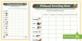 Maths Minibeast Counting to 20 Treasure Hunt Activity