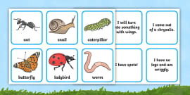 Minibeast Word Mat (teacher made) - Twinkl