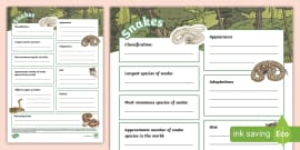 KS2 Snakes Fact File - Twinkl - KS2 (Hecho por educadores)