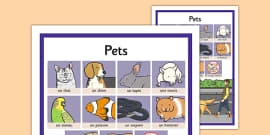 French Pets Display Posters - french, pets, display posters