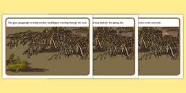 Australian Tropical Rainforest Animals Modelling Dough Mats