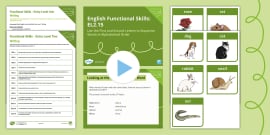 Alphabetical Order by Second Letter Activity for K-2nd Grade