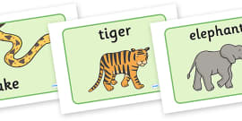 Jungle Animal Themed Word Cards (Teacher-Made) - Twinkl