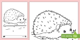 Hedgehog Spikes Counting Activity (teacher made) - Twinkl