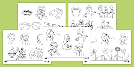 Five Senses Colouring Page (teacher made) - Twinkl