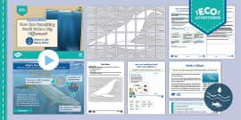 Year 3 Water & Life Below Water: Display Pack (teacher made)