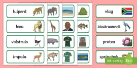 Dis Tyd vir Beweeg! Visuele Kaartjies (teacher made)