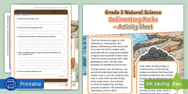 Sedimentary Rock - Word Search (teacher made) - Twinkl
