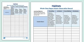 Musical Instruments EYLF Assessment Rubric (Teacher-Made)