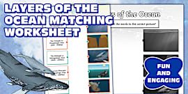 Colorful 5 Layers of the Ocean Posters | Twinkl USA