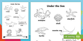 Under the Sea I Spy and Count Activity to 10 (teacher made)