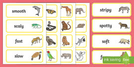 Animal Adjectives Word Mat (Teacher-Made) - Twinkl