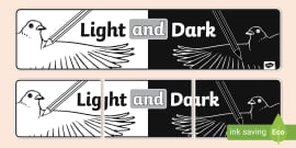 Shadows Display Photos (teacher made) - Twinkl