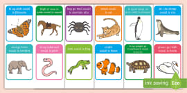 * NEW * Preschool: Gross Motor- Animal Movements