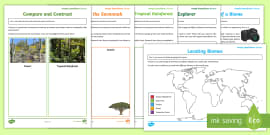 Biomes Graphic Organizer