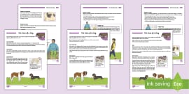 Dog Fact File For Kids - All About Dogs