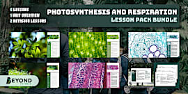 Limiting Factors of Photosynthesis Lesson Pack | Beyond