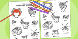 Minibeast Coloring Sheets (Teacher-Made) - Twinkl