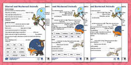 Nocturnal and Diurnal Animal Sort Activity