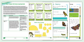 FREE! - Year 6 Week 1 - NZ Home Learning Pack (teacher made)