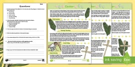KS2 Easter CfE Differentiated Reading Comprehension Activities