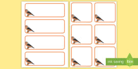 Editable Toad Peg Labels (teacher made)