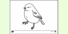 FREE! - Blue Pencil Colouring | Colouring Sheets - Twinkl