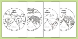 What is an Animal Cell? | Definition and Functions | Twinkl