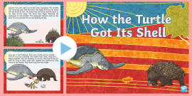 Life Cycle of a Sea Turtle PowerPoint (teacher made)