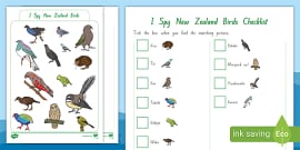 NZ Native Bird Colouring Pages Pack - New Zealand Birds