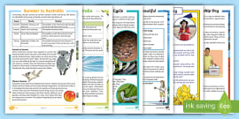 Folktale Reading Comprehension Worksheet PDF | Primary