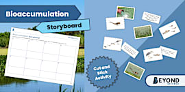 Bioaccumulation Worksheet | Science | Beyond Secondary
