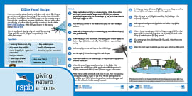 KS2 What Is a Pond? Information PowerPoint (teacher made)
