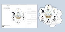 Blank Penguin Template (teacher made) - Twinkl