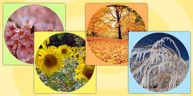 Four Seasons Wheel (Teacher-Made)